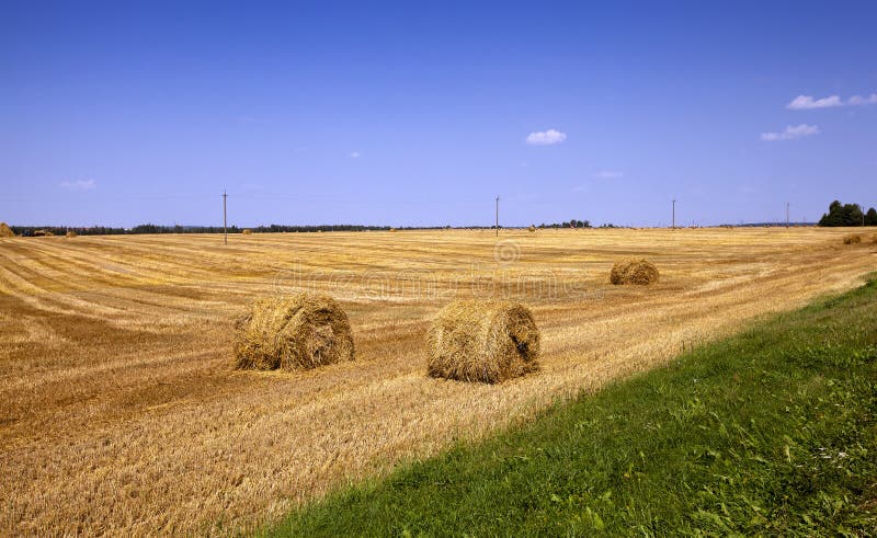 Straw stack stock photo. Image of grass, bale, countryside - 29976260
