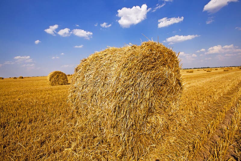 Straw stack stock image. Image of circle, barbed, hayrick - 29976299