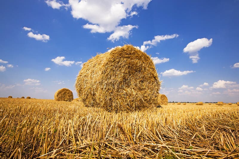 Straw stack stock image. Image of cutting, agriculture - 29976419