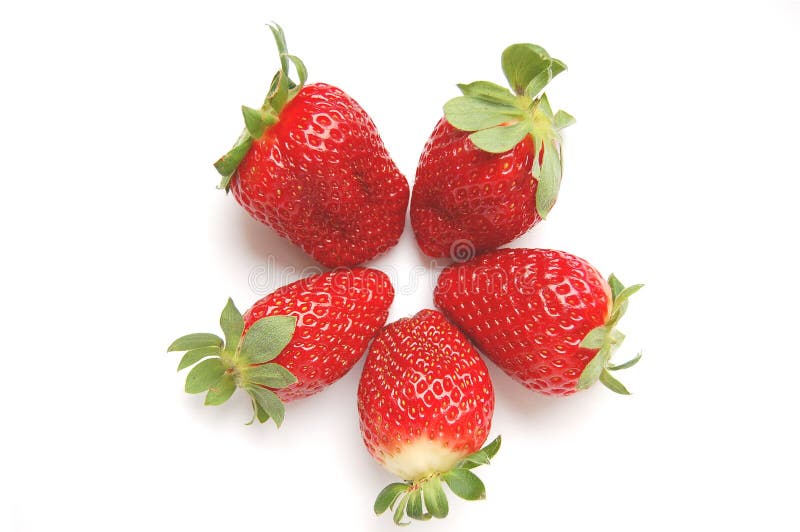 Strawberries stock photo. Image of fruits, eating, taste - 13749492