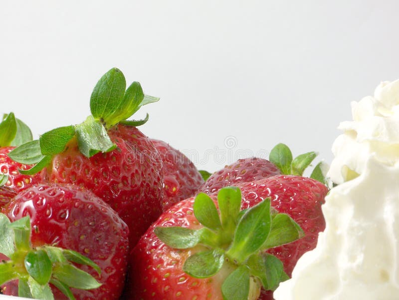 Strawberries stock photo. Image of fruits, food, cream - 2427208
