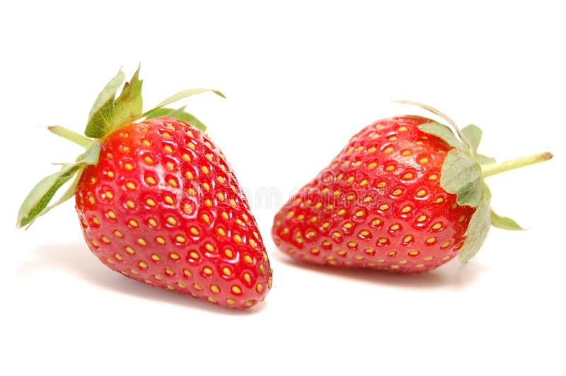 Strawberries stock image. Image of sizes, small, fresh - 14795555