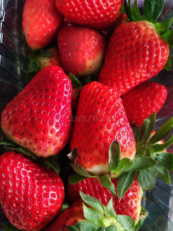 Strawberries. Aesthetics of Berries. the Beauty of Strawberries Stock ...
