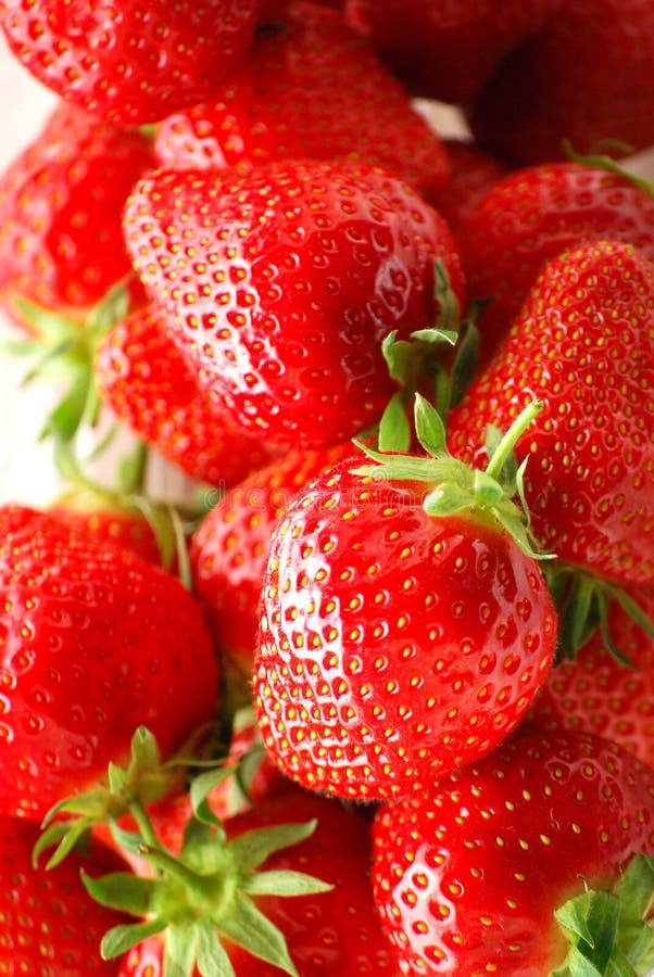 Fresh strawberries stock image. Image of fresh, succulent - 16450529