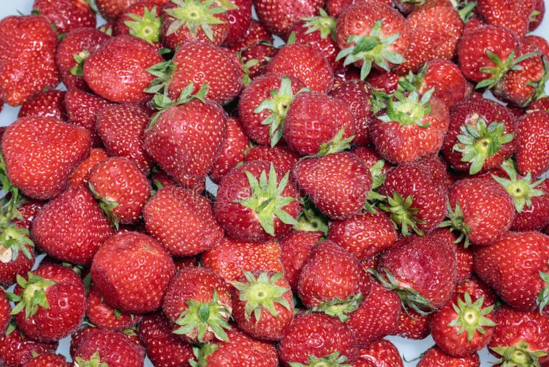 Strawberries Background stock photo. Image of large - 109847046