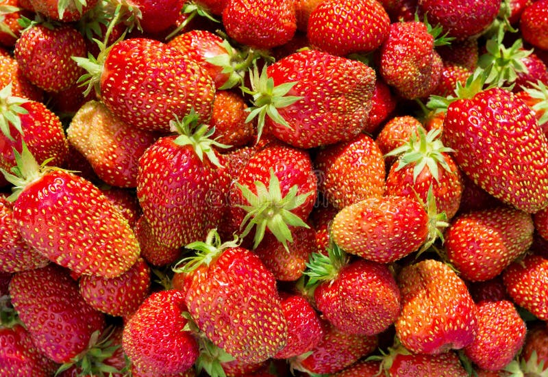 Strawberries background stock photo. Image of berry - 261876908