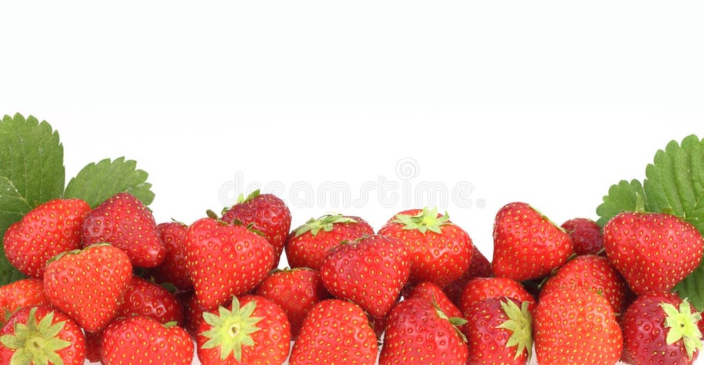 Strawberries banner stock photo. Image of diet, sweet - 21550738