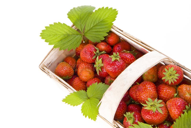 Strawberries in the basket stock image. Image of fresh - 14946917