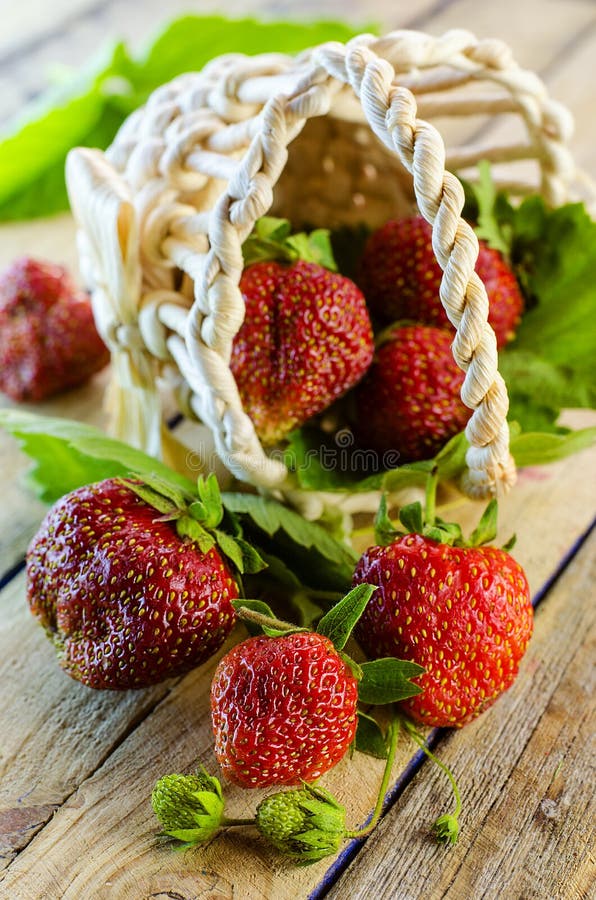 Strawberries in a basket stock image. Image of agriculture - 72859795