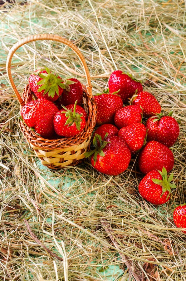 Strawberries in a basket. stock image. Image of harvest - 72778525