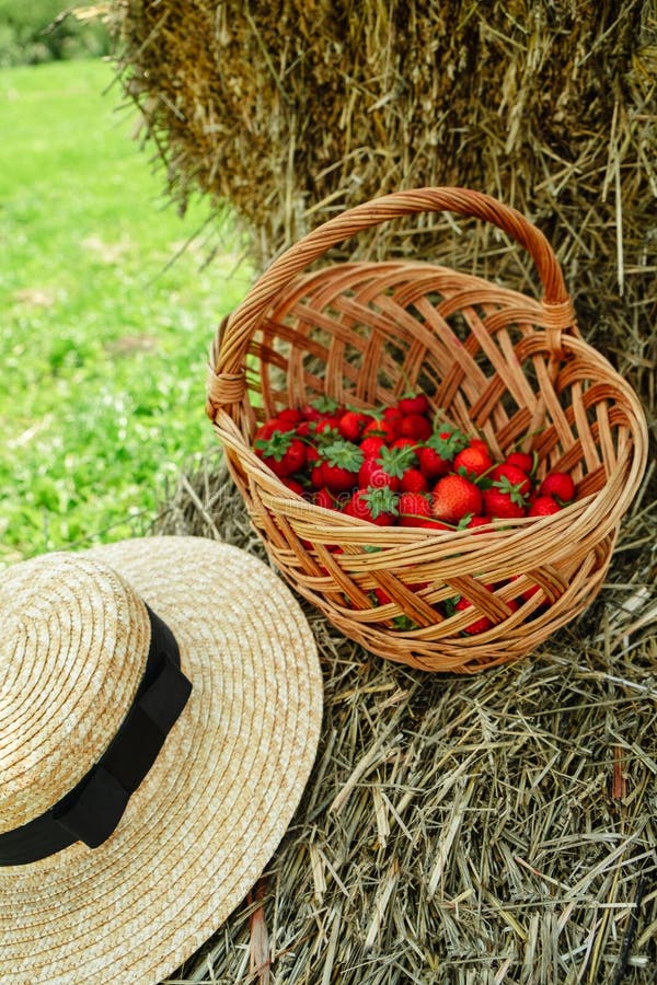 Strawberries in Basket and Straw Hat at Haystack Stock Image - Image of ...