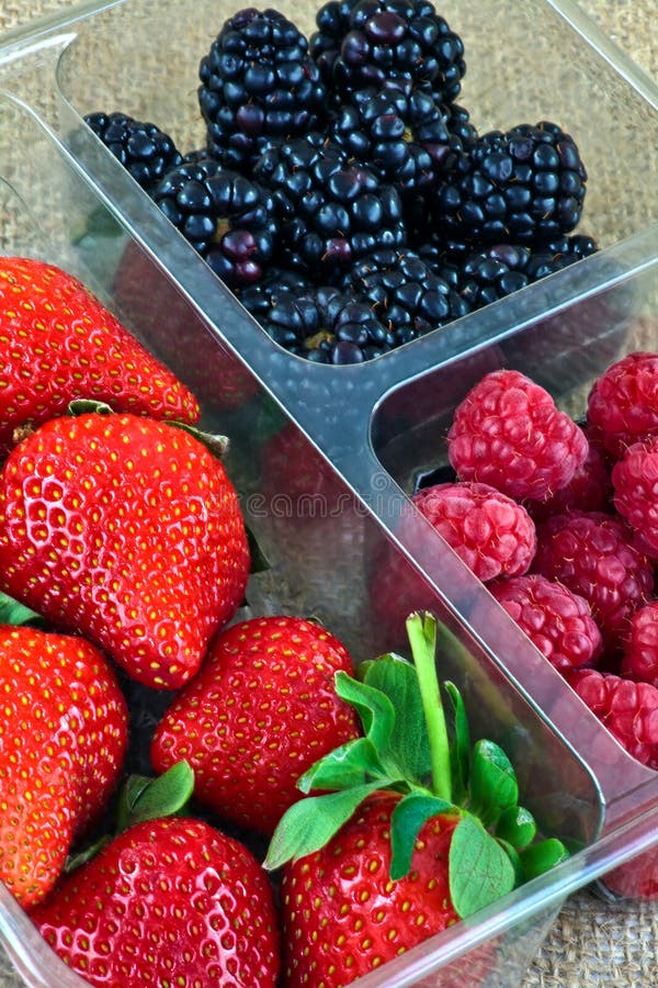 Strawberries, Blackberries and Raspberries Stock Photo - Image of ...