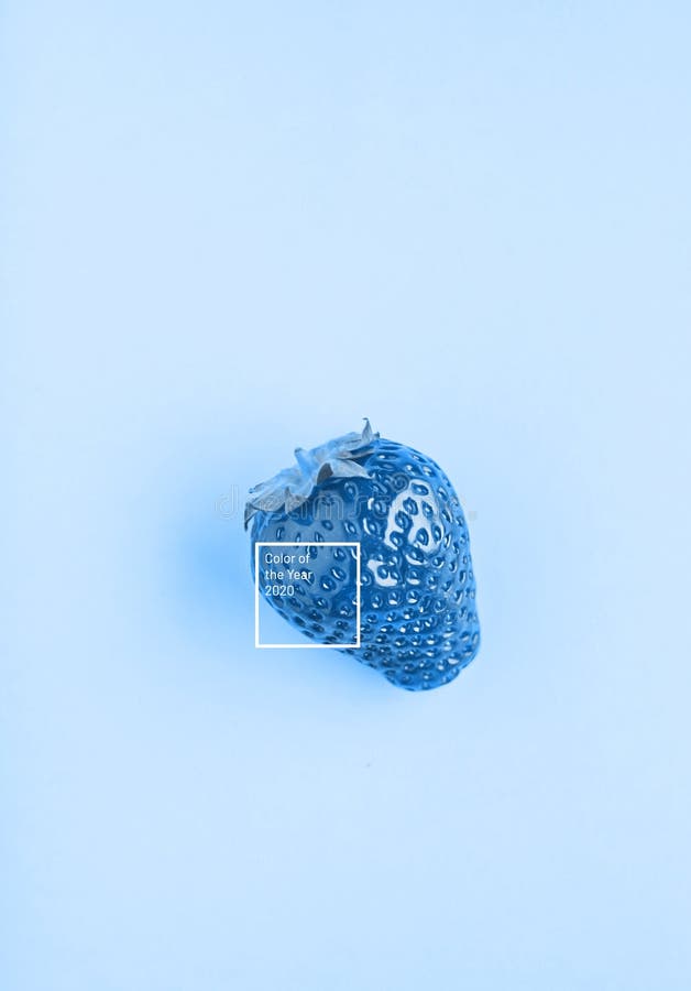 Strawberries on Blue Trendy Background. Stock Image - Image of bright ...