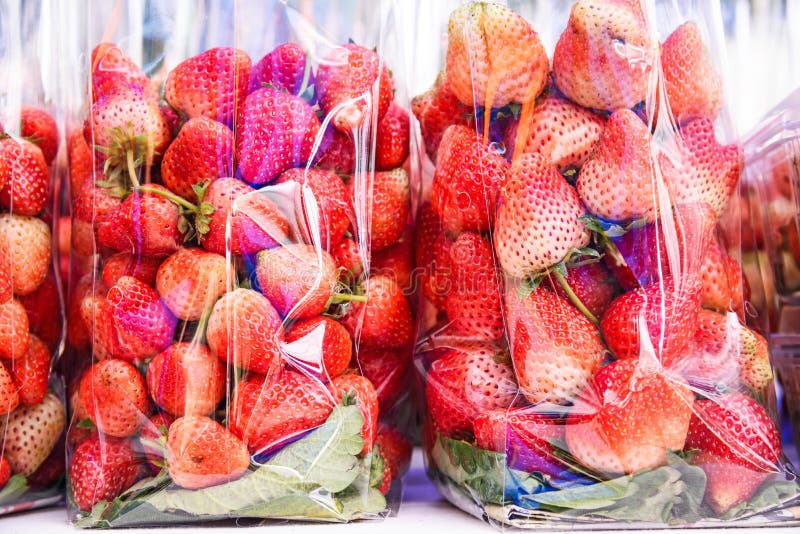 Strawberries in the Clear Plastic Pack Stock Image - Image of plastic ...