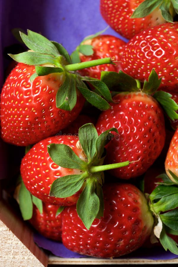 Strawberries close up stock photo. Image of appetizing - 209993852