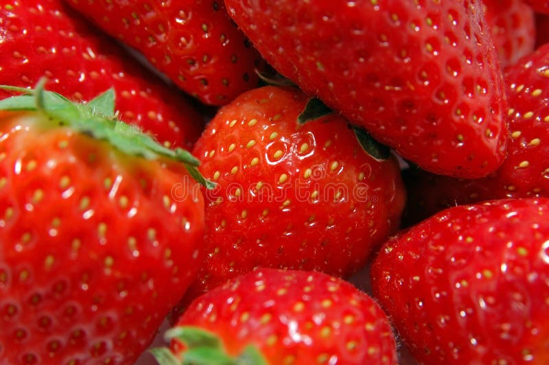 Strawberries closeup stock image. Image of growth, ecology - 2417539