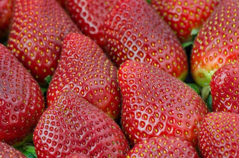 Strawberries, closeup stock photo. Image of fruits, ripe - 38466802
