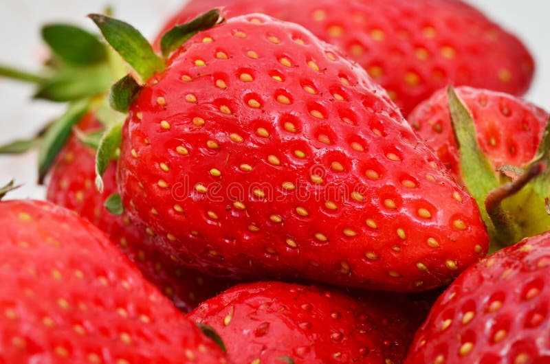 Strawberries stock image. Image of fruit, pattern, fresh - 57494365