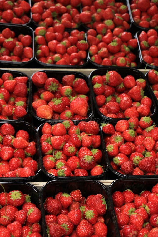 Strawberries on display stock photo. Image of berry, stall - 97126736