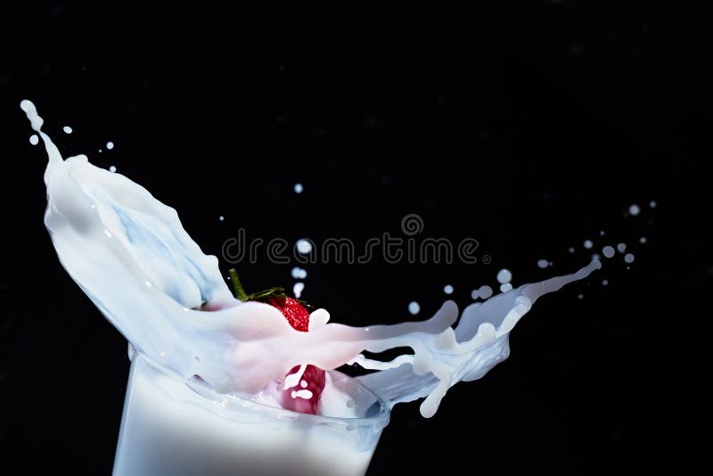 Strawberries Fall into a Glass with Milk. Milk is Splashing. Stock ...