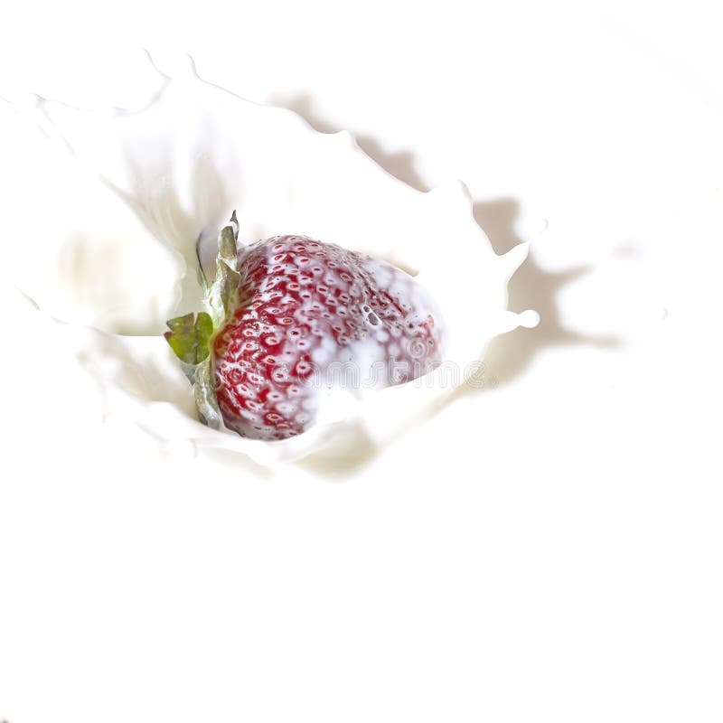 Strawberries Falling into Milk Stock Image - Image of delicious, fall ...