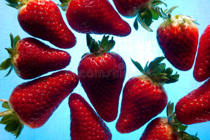Strawberries Floating on Blue Water Stock Image - Image of still, small ...