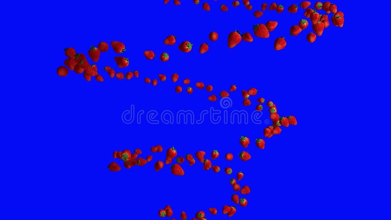 Strawberries Flying in Helix Shape, Seamless Loop, Blue Screen ...