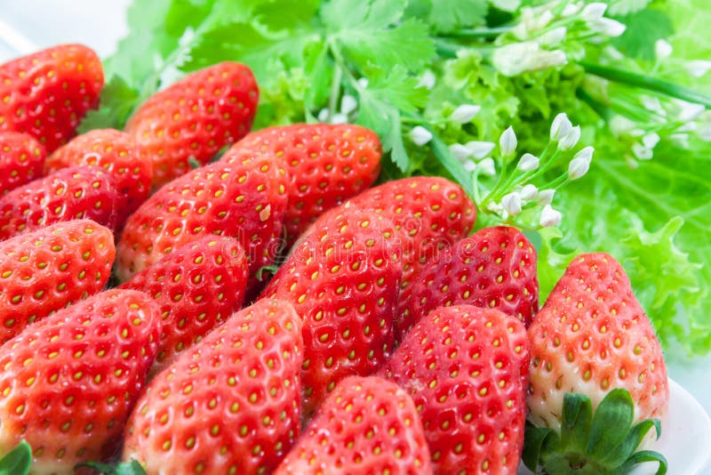 Strawberries stock image. Image of ripe, juice, isolated - 37084087