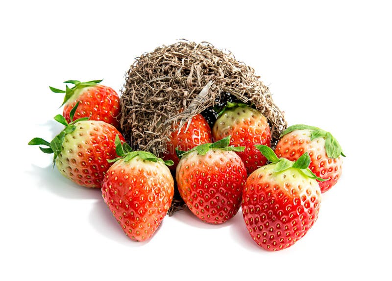 Strawberries Fruit stock photo. Image of dessert, group - 36550444