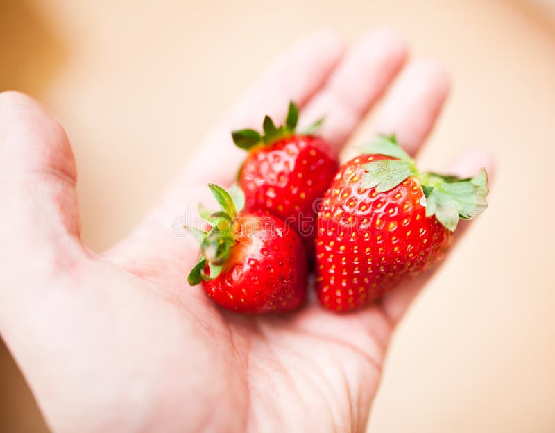 Strawberries in hand stock image. Image of tasty, eating - 29426635