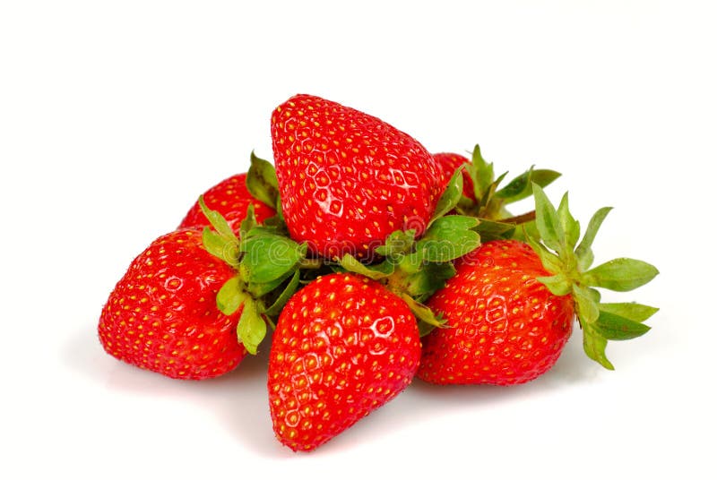 Strawberries isolated stock image. Image of shot, bright - 14676125