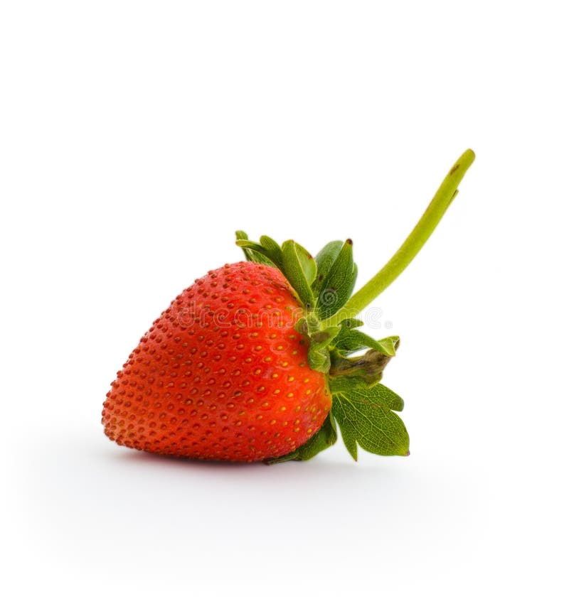 Strawberries stock photo. Image of food, freshness, healthy - 53951972