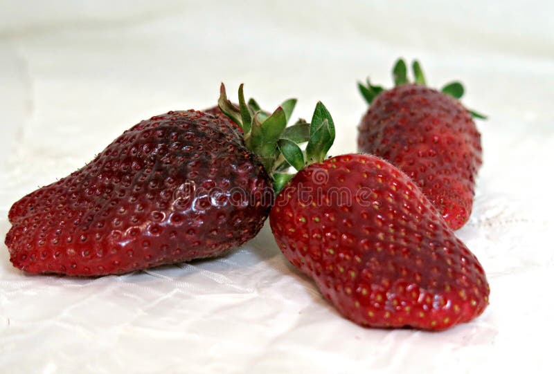 Strawberries from Israel stock image. Image of morango - 128938185
