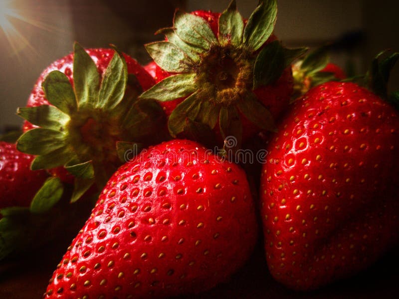 Strawberries on the Kitchen Table Stock Image - Image of fruit, kitchen ...