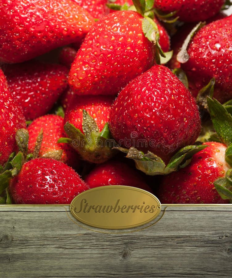 Strawberries labeled stock photo. Image of healthy, spring - 47802310