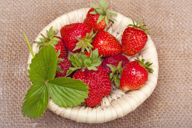 Strawberries with leaves stock image. Image of basket - 25271681