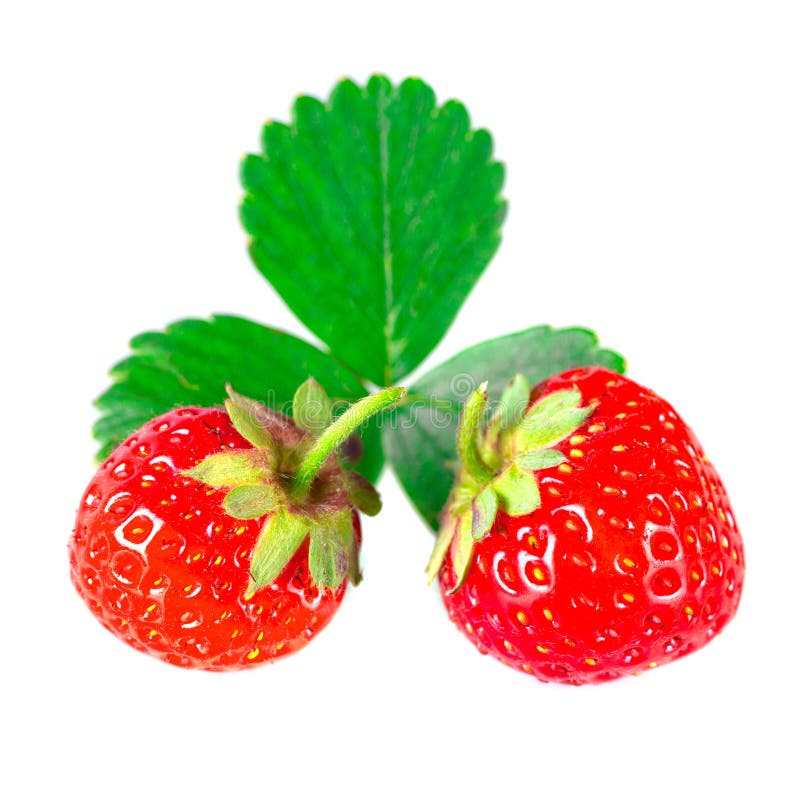 Strawberries with Leaves Isolated on a White Background Stock Photo ...