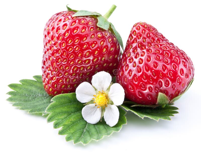 Strawberries with Leaves Isolated on a White. Stock Photo - Image of ...