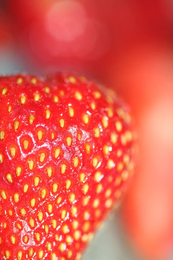 Zoom of a strawberry stock image. Image of glass, strawberries - 67467