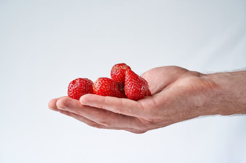 Strawberries in a Man S Hand on a White Background. Hand Holding ...