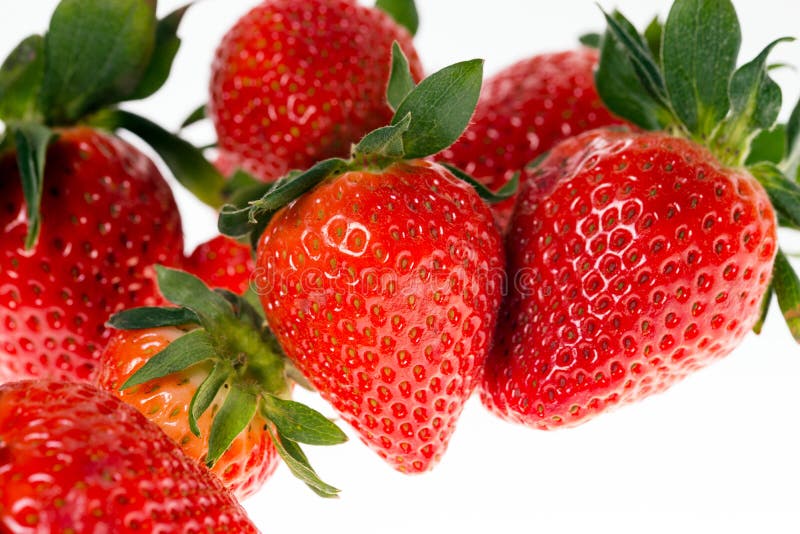 Strawberries stock photo. Image of tasty, vegetarian - 55519158