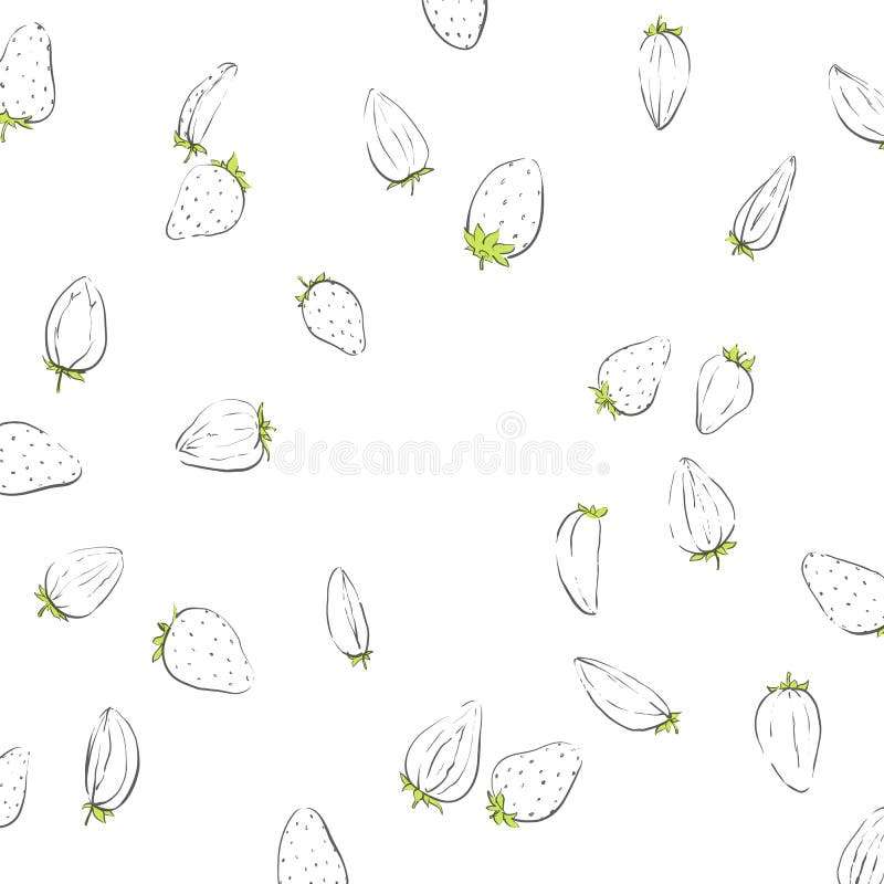 Sweet outline berries stock vector. Illustration of fruit - 125513611