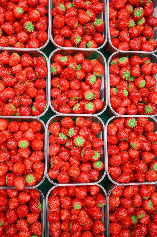 Strawberries in Plastic Box Ready for Sell Stock Photo - Image of ...