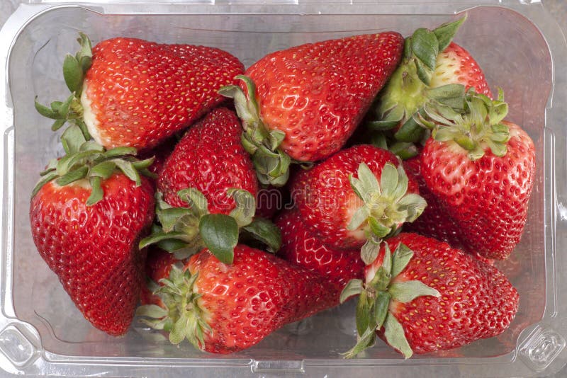 Strawberries in Plastic Container Stock Photo - Image of close ...