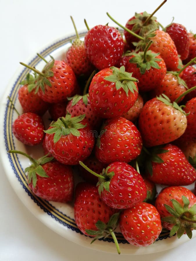 Strawberries in a plate stock photo. Image of fruit - 110614896