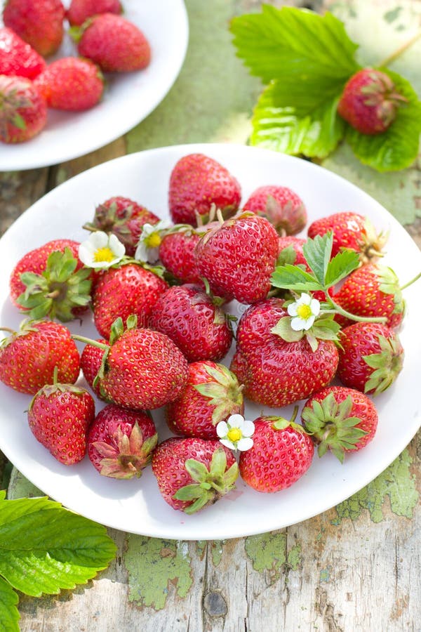 Strawberries on a plate stock photo. Image of background - 42110154