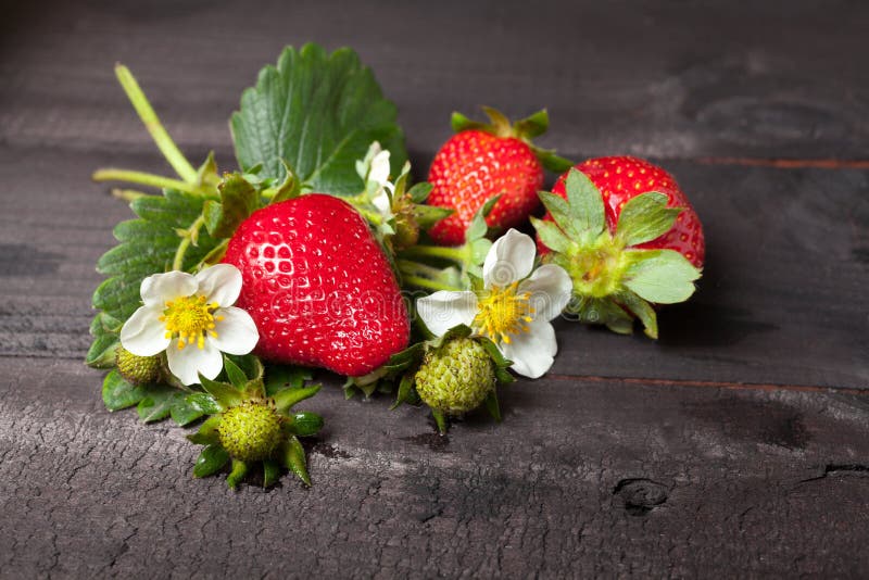 Strawberries stock photo. Image of macro, healthy, white - 39998272