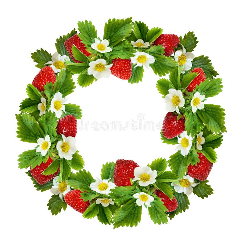 Strawberries Round Frame with Flowers, Berries, Leaves Stock Image ...