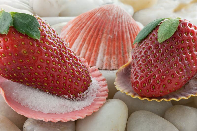 Strawberries in Seashells stock image. Image of marine - 23872707