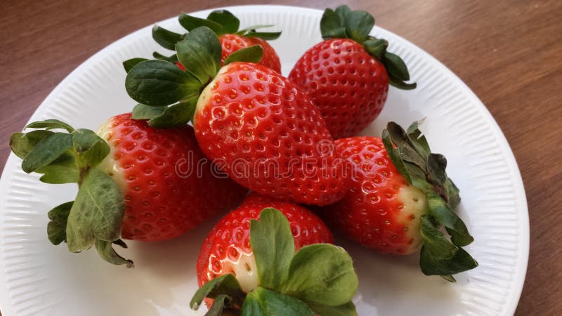 Strawberries stock image. Image of taste, brown, childhood - 65175375